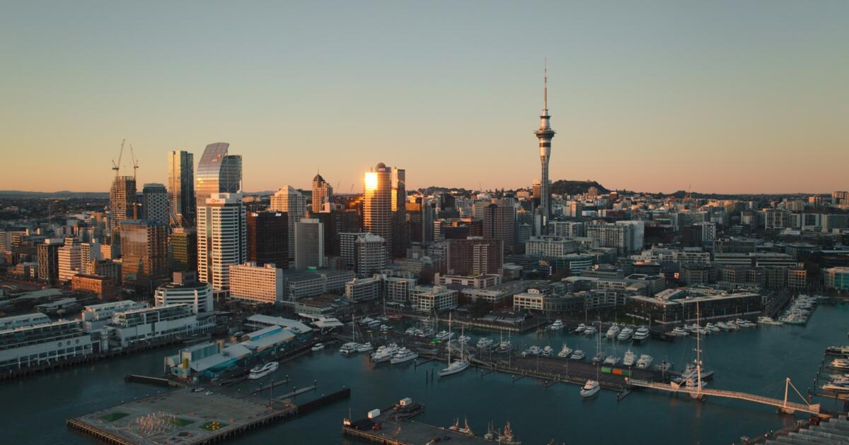 SEA Virtual Visits With TNZ November 2024 | Travel Trade