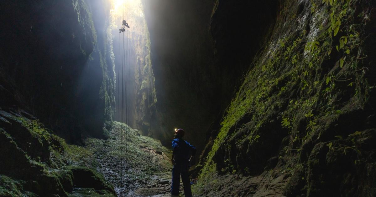 6 days Rotorua, Taupō & Waikato | Travel Trade