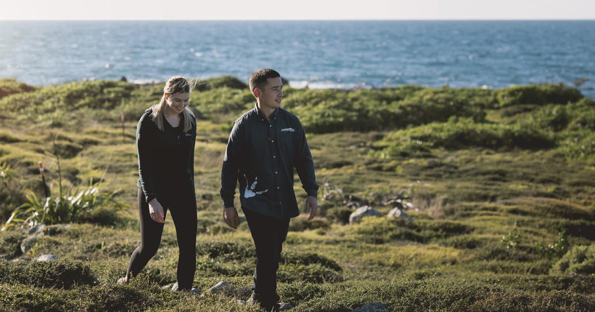 If You Seek an Encounter with Nature, Seek New Zealand | Travel Trade