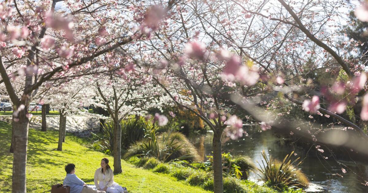 Spring in New Zealand | Travel Trade